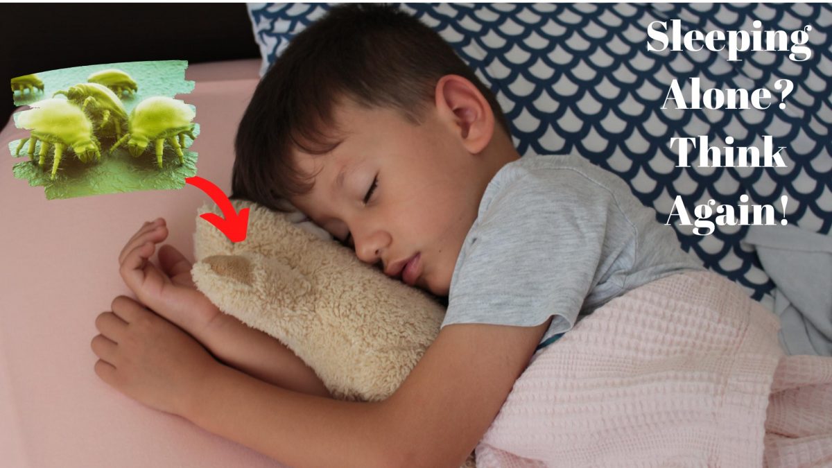Effect of Dust mites to your child | Dr Joann Child Specialist